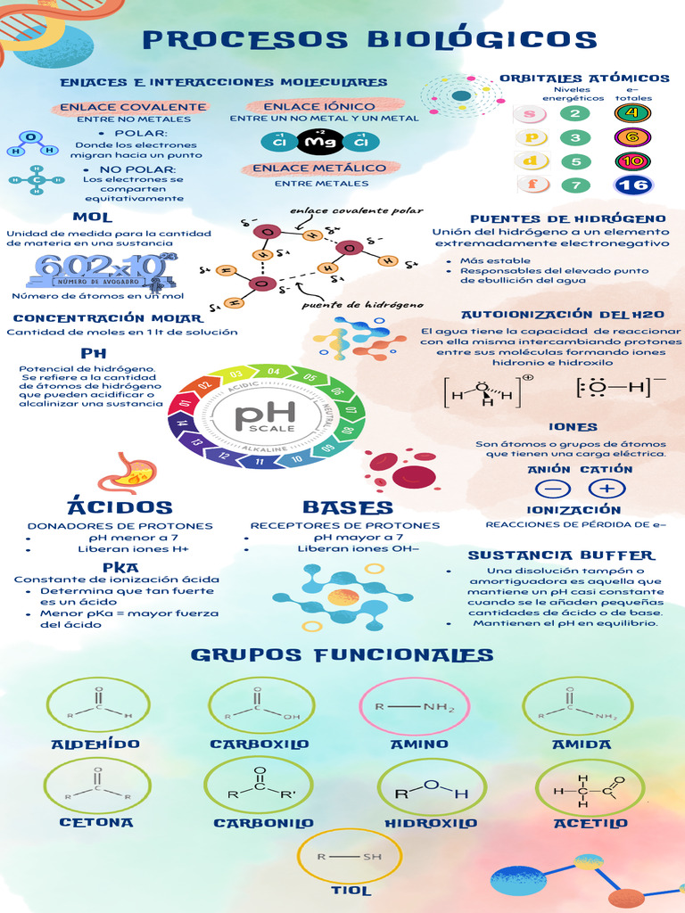 Procesos Biológicos - Primer Parcial | PDF | Carbohidratos | Lípido