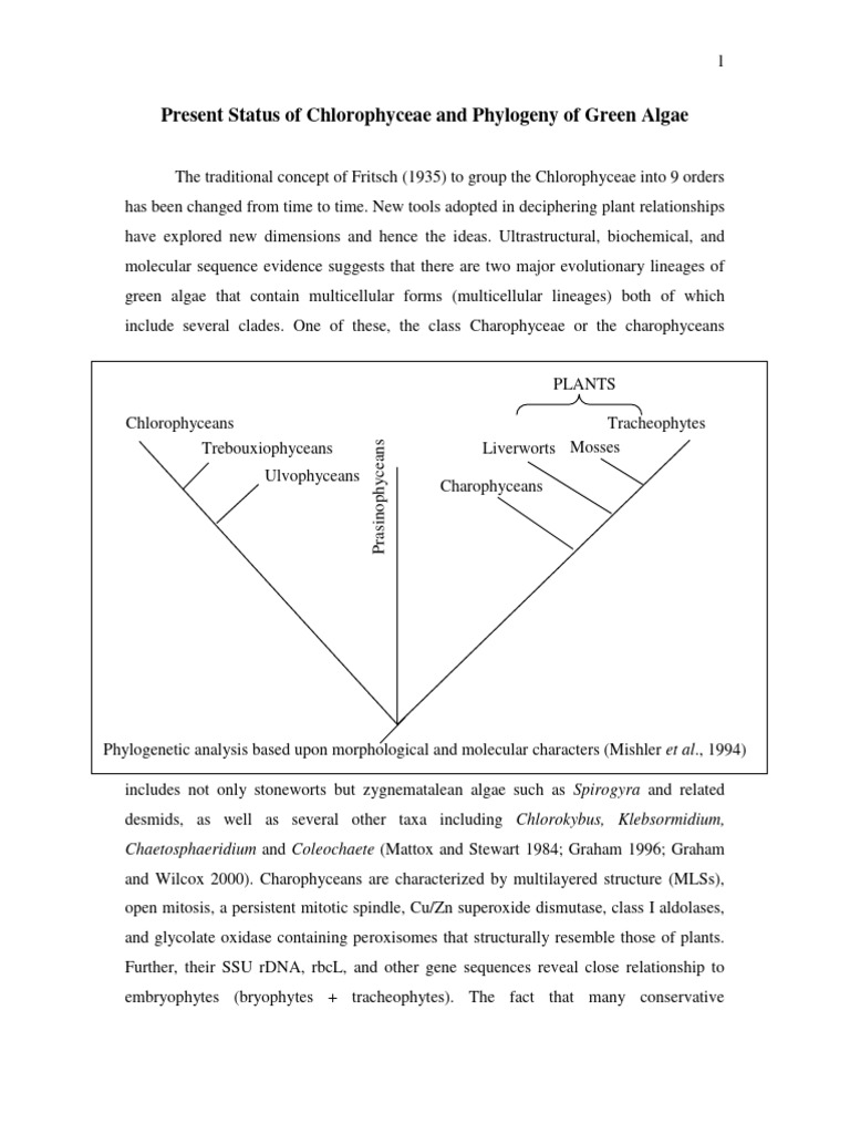 Present Status of Chlorophyceae and Phylogeny of Green Algae | PDF ...