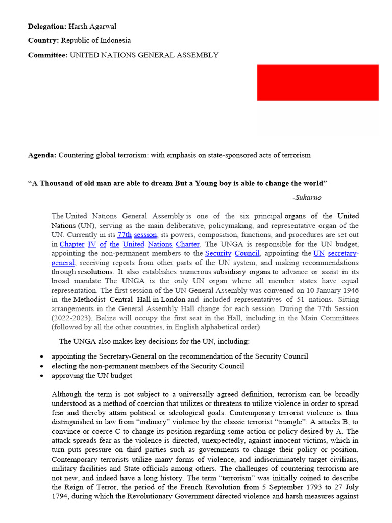 Position Paper Indonesia | PDF | United Nations General Assembly | United Nations