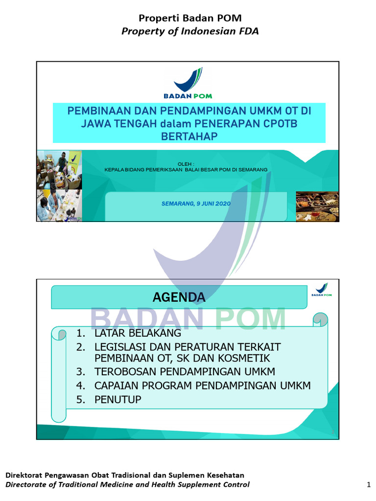 Upaya Pendampingan UMKM OT | PDF
