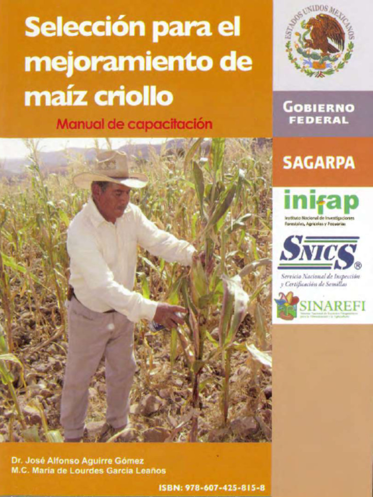 Selecci n Para El Mejoramiento de Maiz Criollo Compressed | PDF