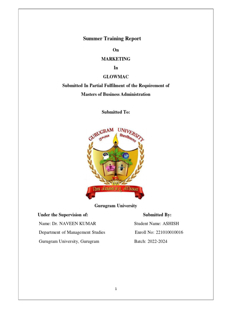 Ashish Report | PDF | Digital Marketing | Marketing