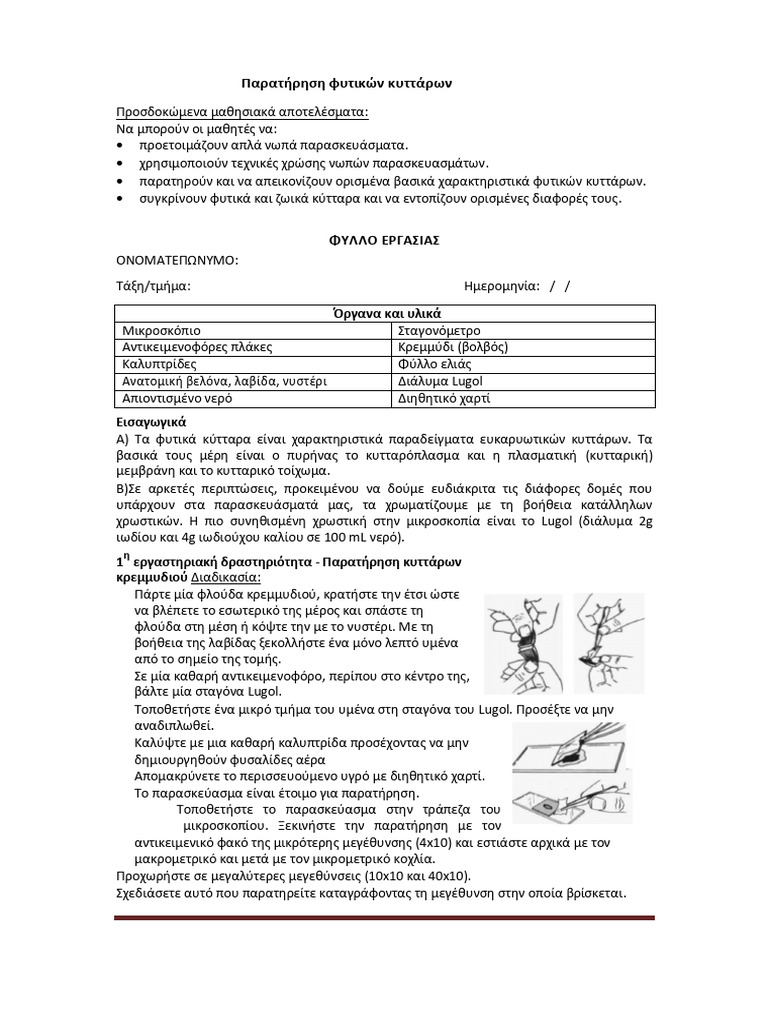 φύλλο εργασίας 1 | PDF