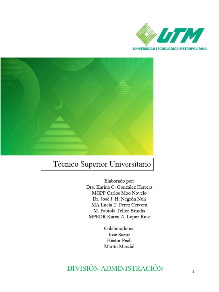 Guía Tsu Admon | PDF | Marco conceptual | Comercio electrónico