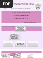 Cemento Radicular: Funciones y Tipos | PDF | Odontología | Anatomia dental