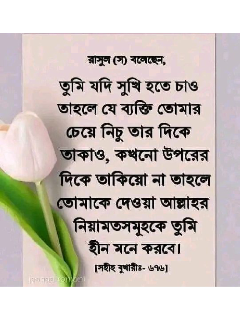 Image PDF 20231109 1206 | PDF