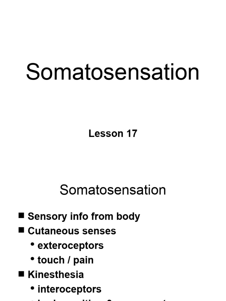 Somatosensation | PDF | Somatosensory System | Senses