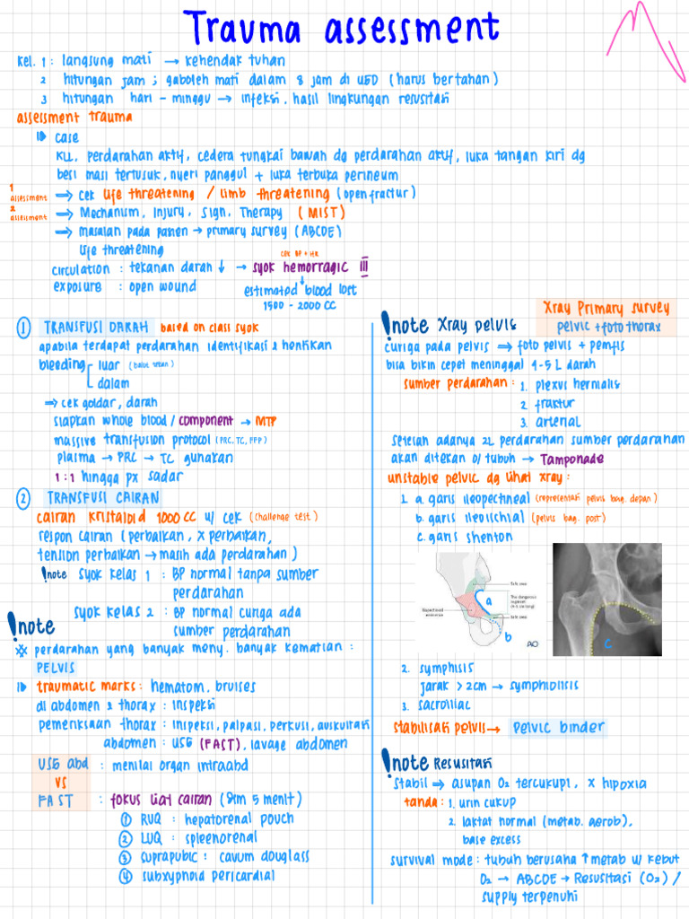 Trauma Assessment | PDF