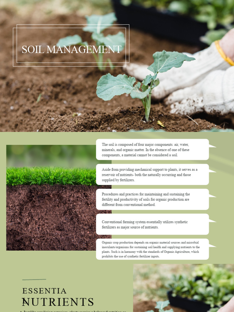 Week 6. SOIL MANAGEMENT | PDF | Plant Nutrition | Compost