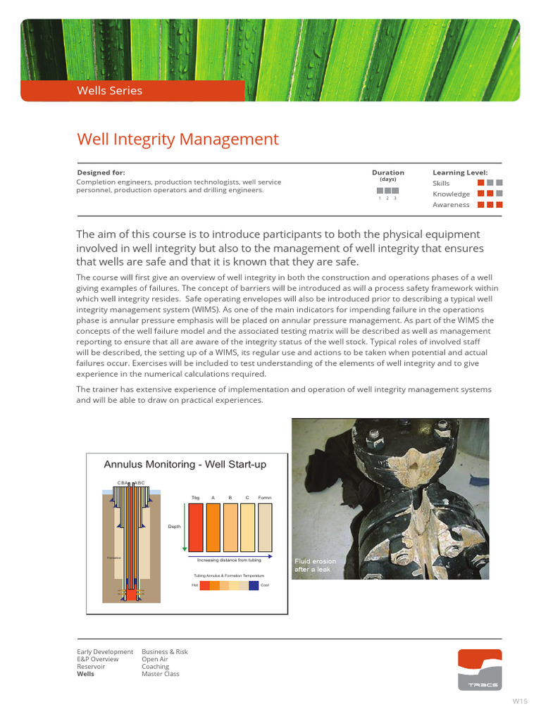 Well Integrity Management Course Overview | PDF | Oil Well