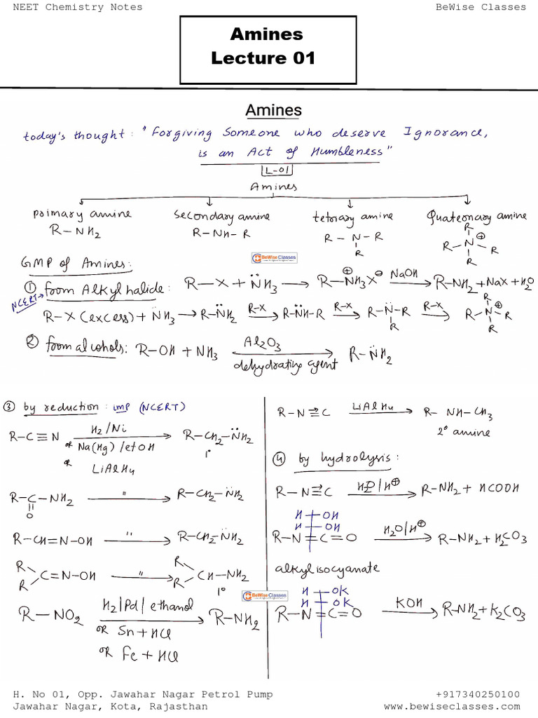Amines | PDF