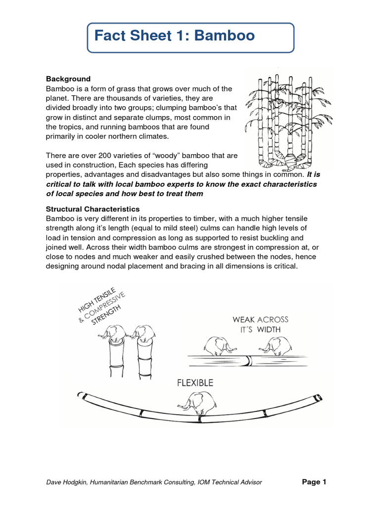Bamboo Fact Sheet English | PDF | Bamboo