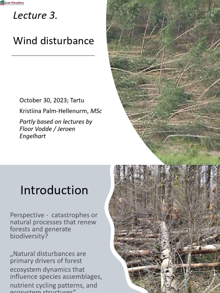 Wind Disturbance in European Forests | PDF | Disturbance (Ecology ...