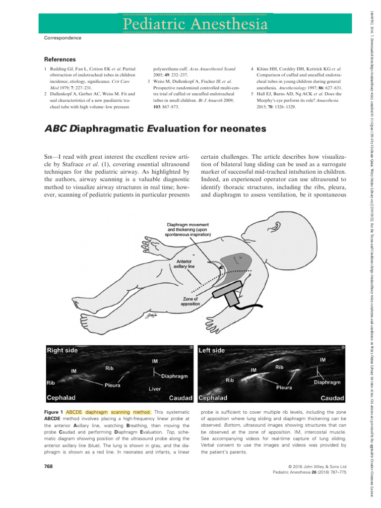 ABC Diaphragmatic Evaluation For Neonates | PDF | Clinical Medicine ...