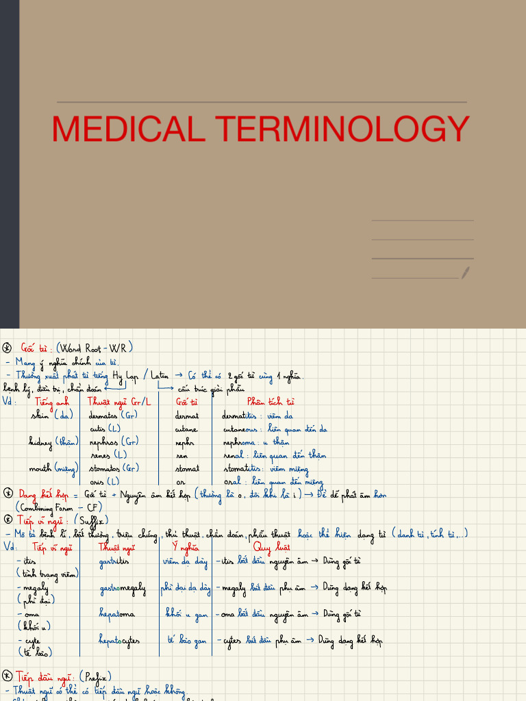 Medical Terminology | PDF | Medical Specialties | Organ (Anatomy)