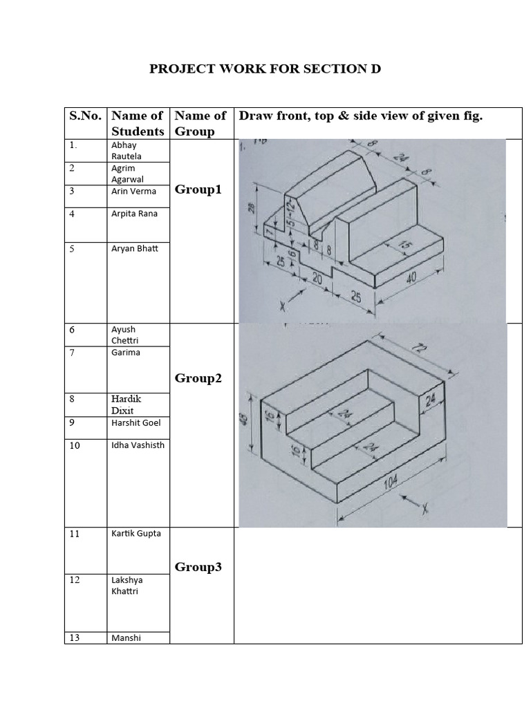 Project Work For Section D | PDF