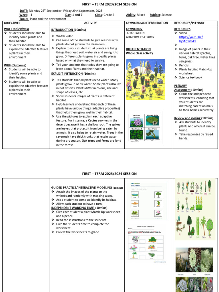 SCIENCE WEEK 4 TERM 1 2023 Science Grade 2 | PDF | Plants | Habitat