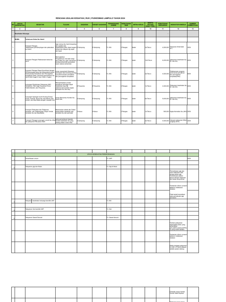 Ruk - PKM Lampulo 2024 Ukp - JKN, Bok | PDF
