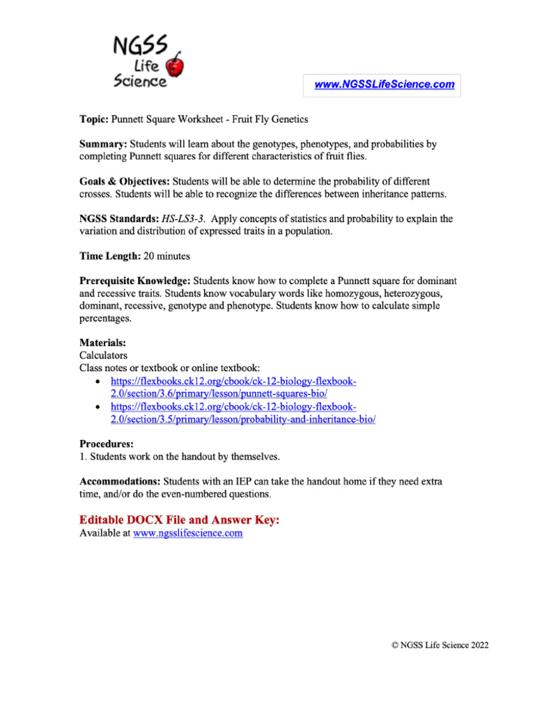 Punnett Squares Fruit Flies Ws | PDF