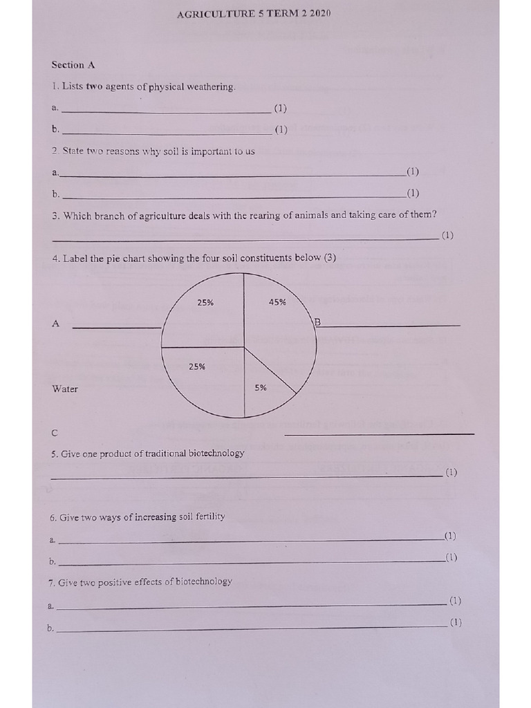 STD 6 Agric Revision Papers | PDF