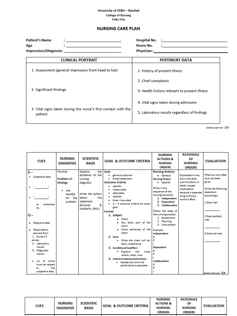 Nursing Care Plan | PDF | Nursing | Medical Diagnosis