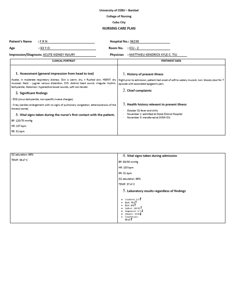 Assessment NCP SVGH ICU | PDF | Heart Rate | Heart