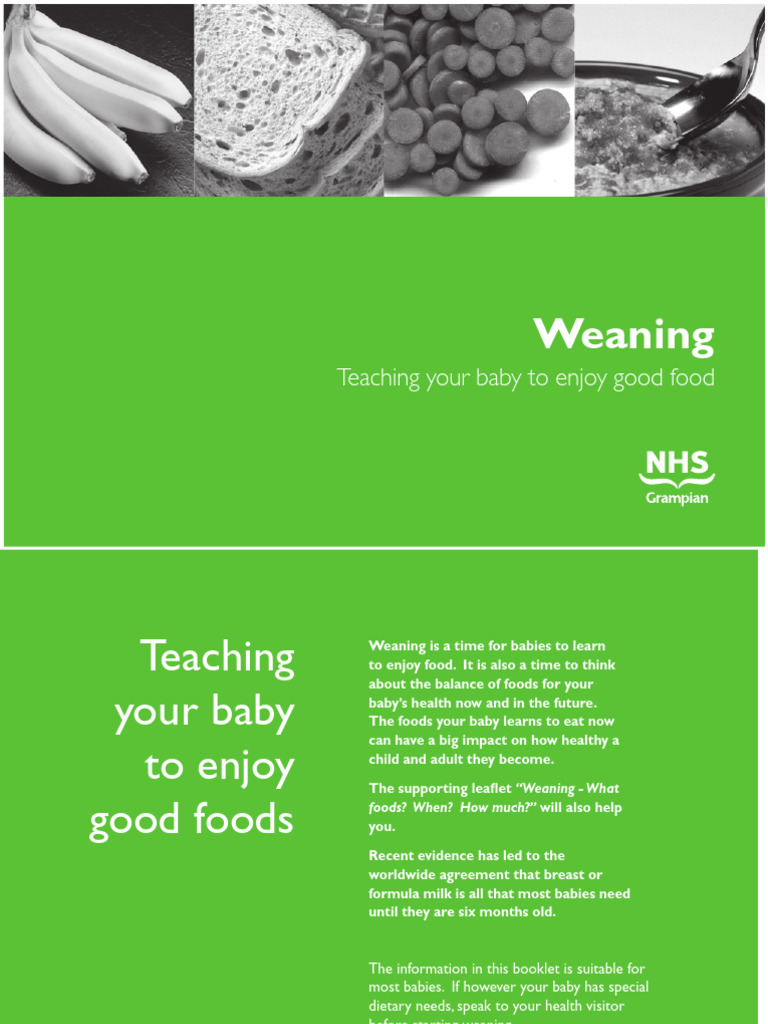 Weaning Booklet English | PDF | Weaning | Potato