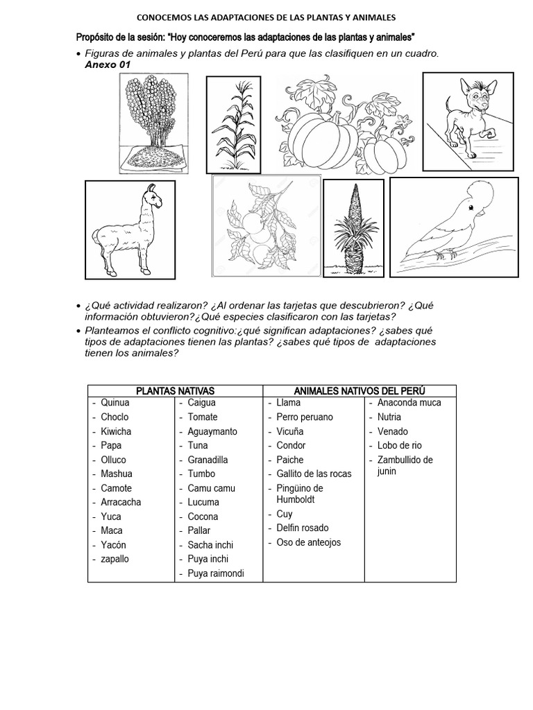 Conocemos Las Adaptaciones de Las Plantas y Animales | PDF | Ciencias ...