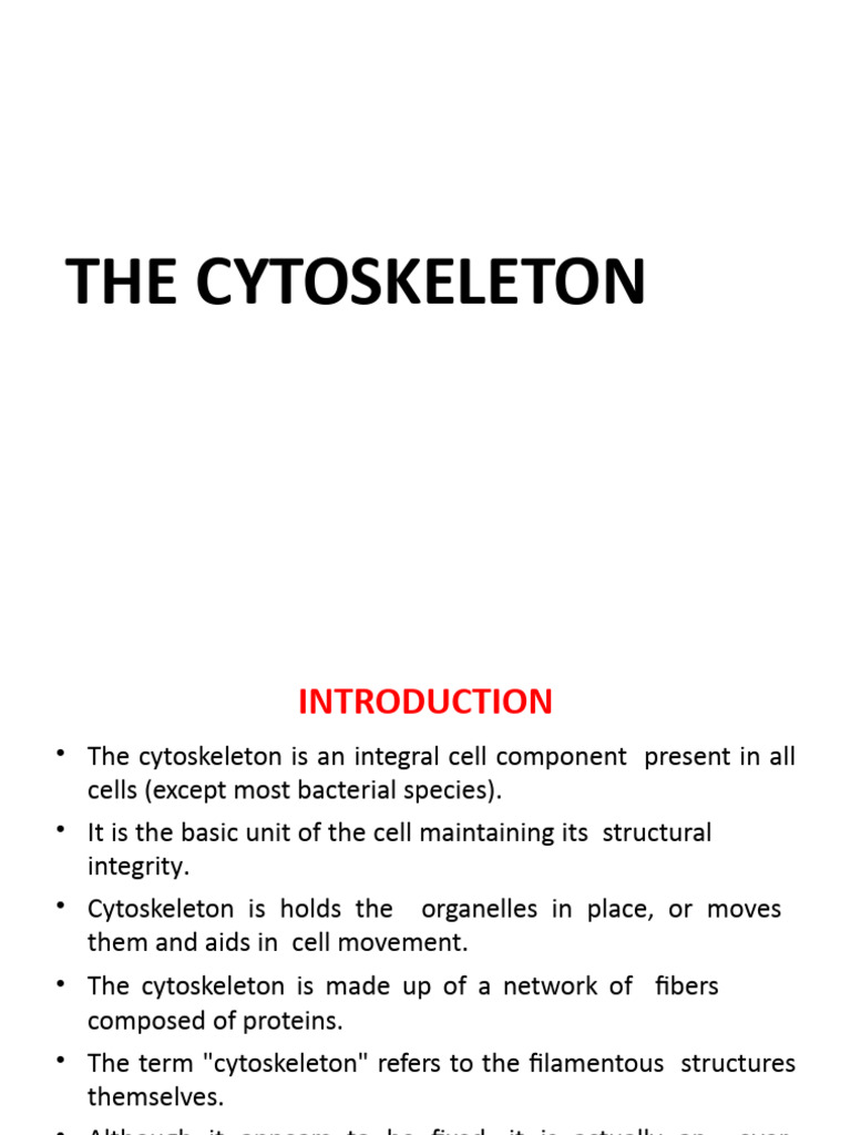 Thecytoskeleton PPT | Download Free PDF | Cytoskeleton | Microtubule