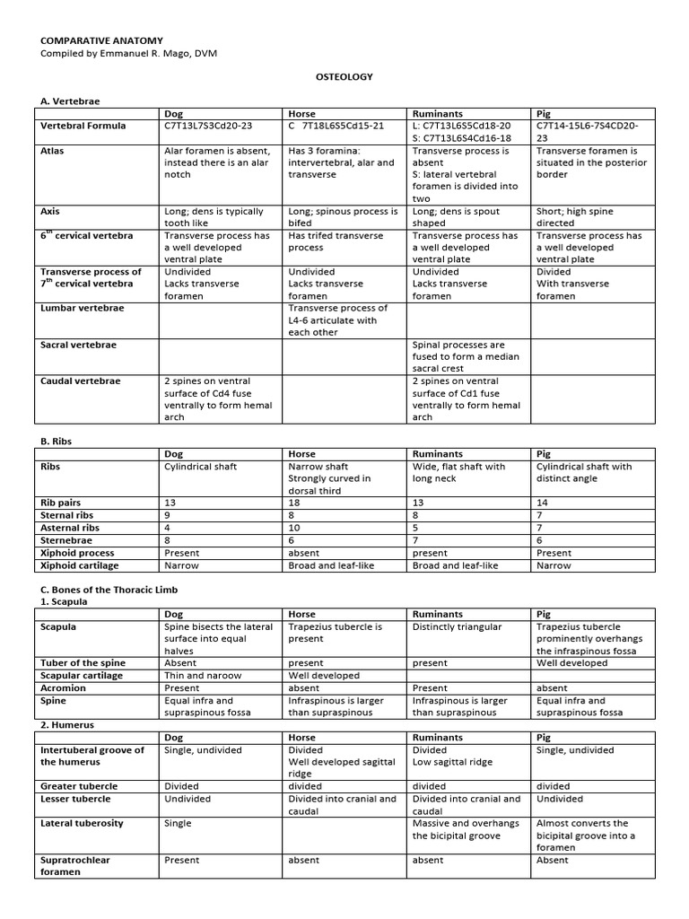 Table - Comparative Anat | PDF | Vertebra | Vertebral Column