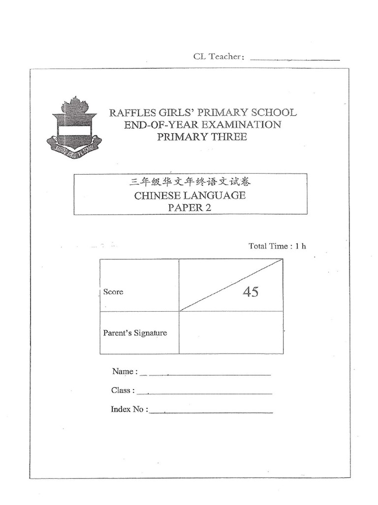 P3 Chinese 2022 Raffles EOY Papers-Printed | PDF