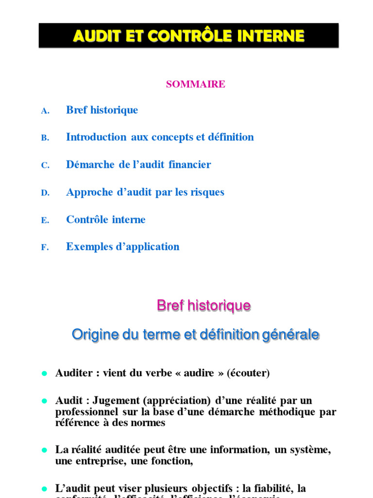 Audit Et Contr Le Interne 1660574859 | PDF | Audit | Contrôle interne