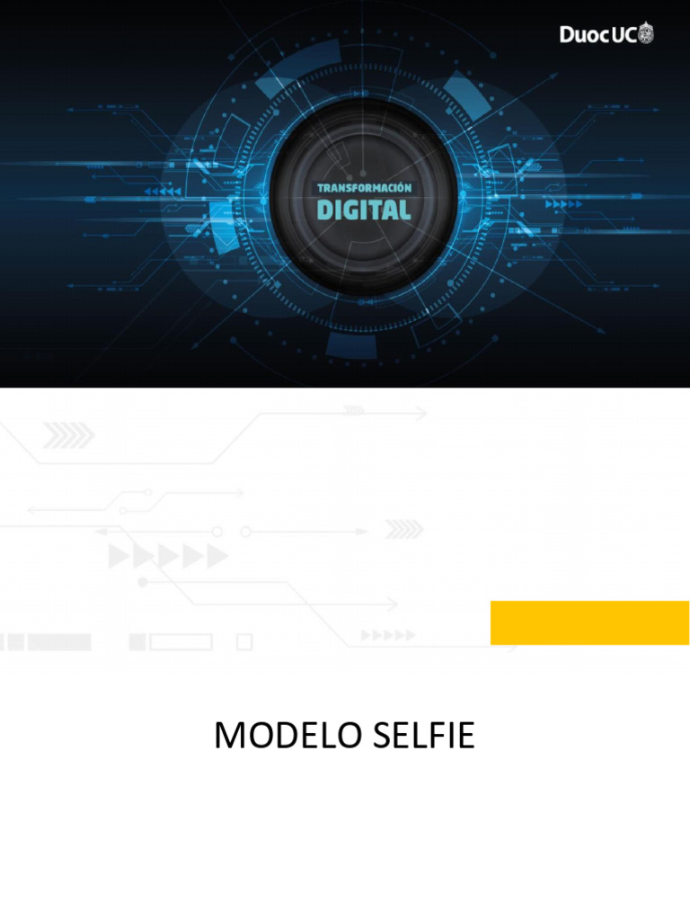 Modelo Selfie (1) | PDF | Evaluación | Plan de estudios