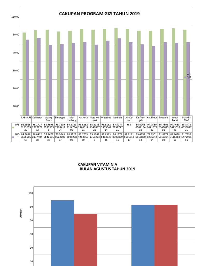Cakupan Program Tahun Gizi 2019 | PDF