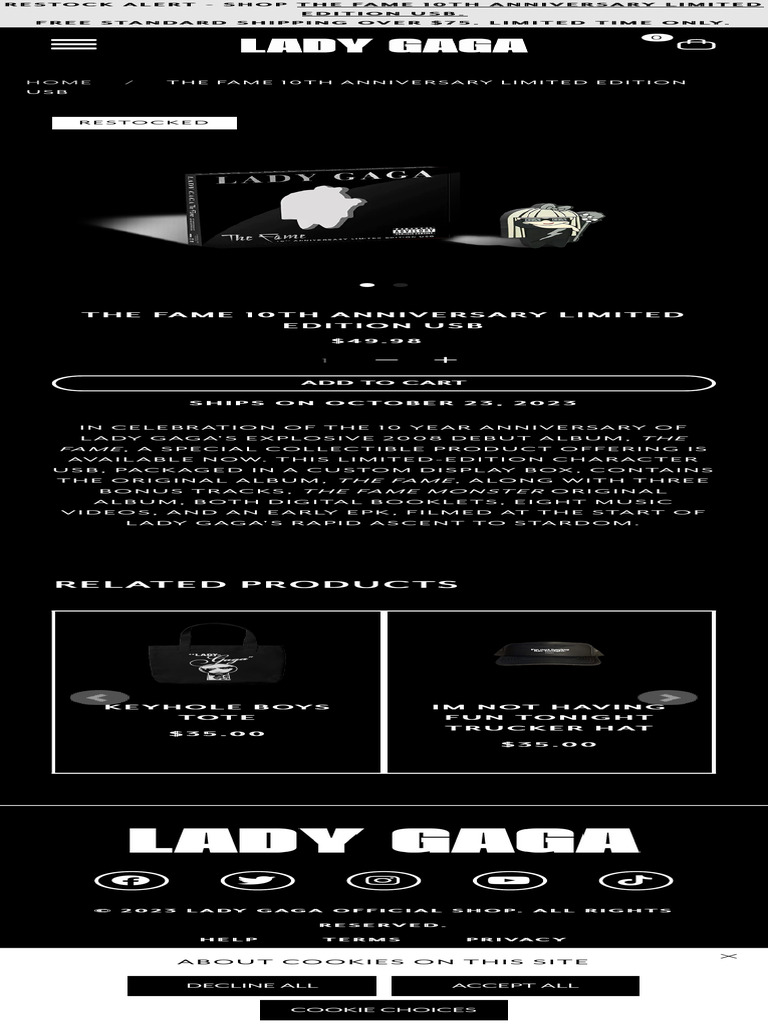 The Fame 10th Anniversary Limited Edition USB - Lady Gaga Official Shop ...
