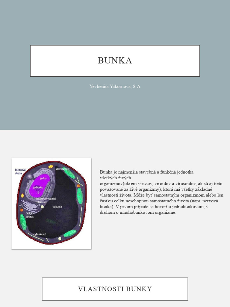 Bunka | PDF