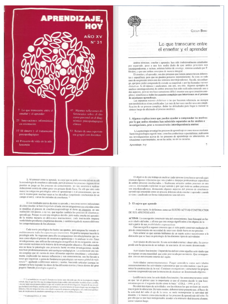 Lo Que Transcurre Entre El Ensen Ar y El Aprender Cecilia Bixio | PDF