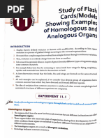 Homologous and Analogous Organs Study | PDF | Leaf | Homology (Biology)