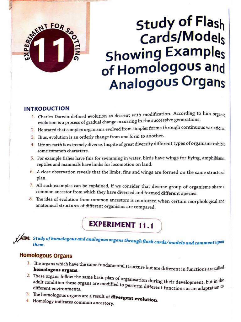 Practical | Download Free PDF | Homology (Biology) | Leaf