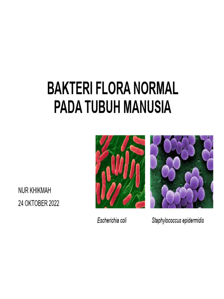 Bakteri Flora Normal | PDF