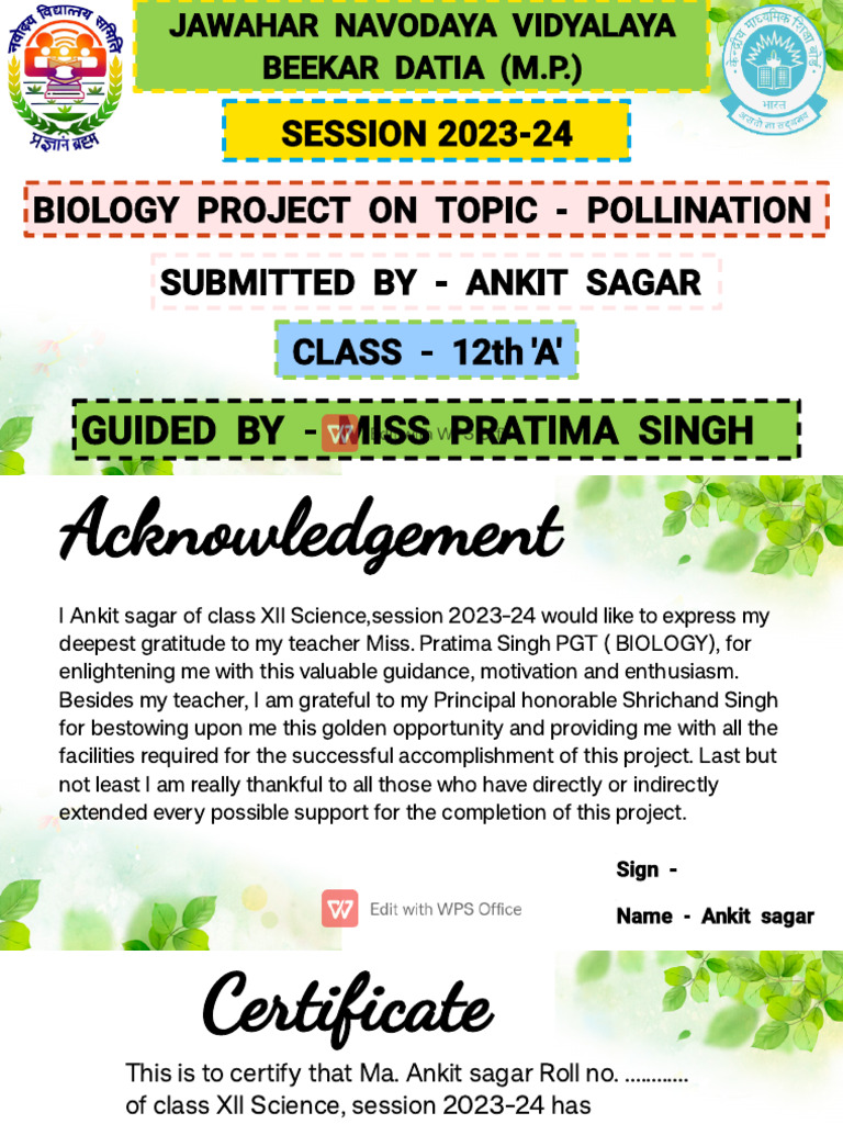 Biology Project On Pollination | PDF | Petal | Pollination