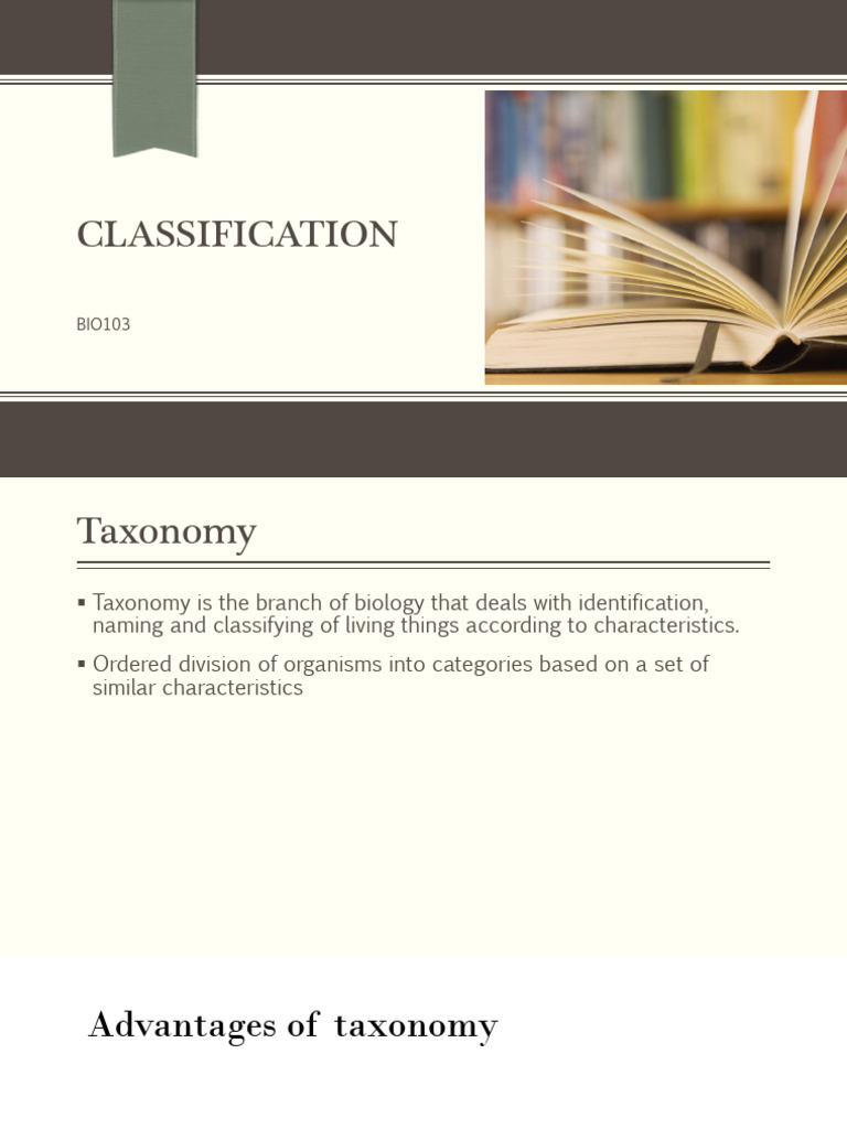 08 Classification | Download Free PDF | Taxonomy (Biology) | Eukaryotes
