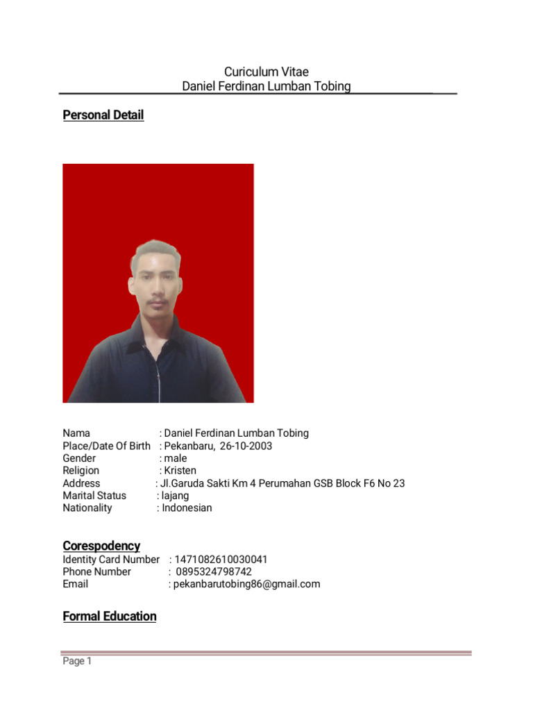 CV Daniel Ferdinan Lumban Tobing | PDF