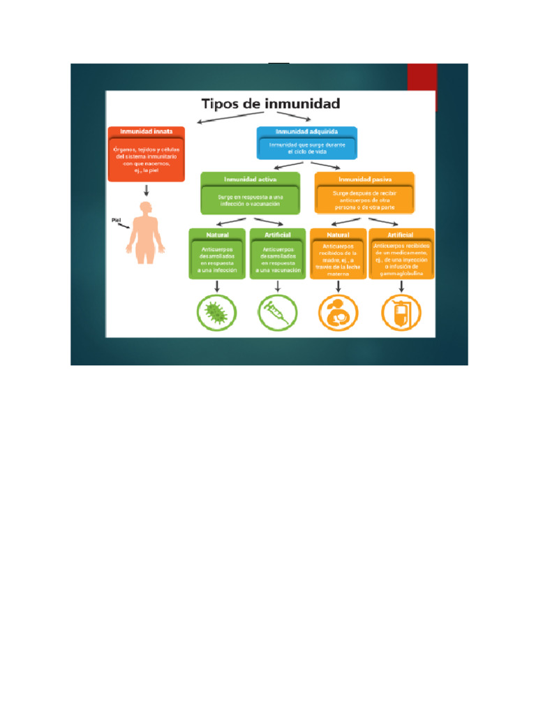 Tipos de Inmunidad | PDF