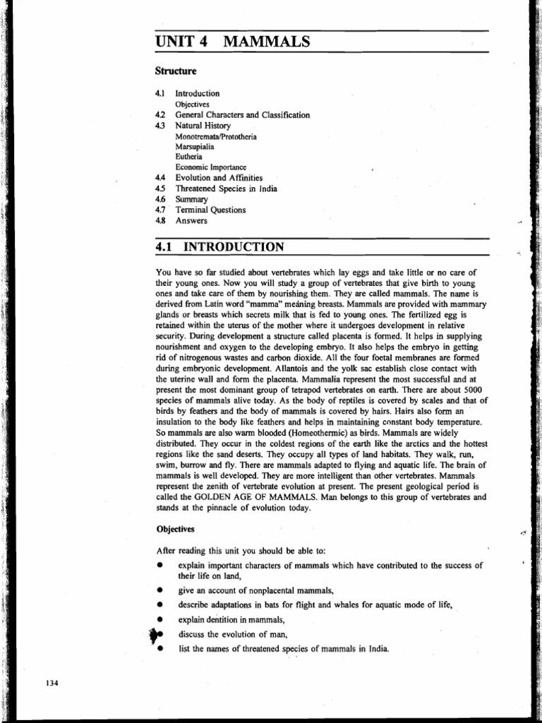 Origin of Mammals | PDF | Tooth | Mammals