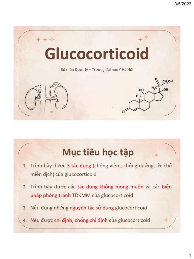 S5.2. Glucocorticoid | PDF