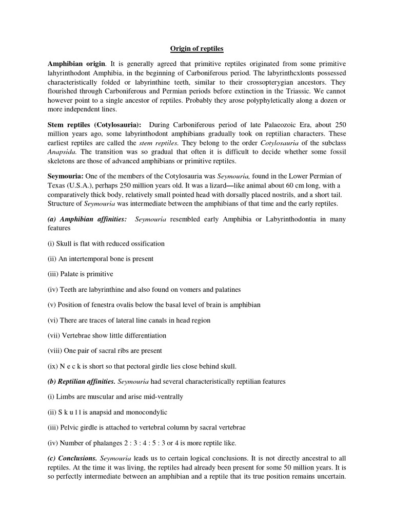 Origin of Reptiles Class | PDF | Reptile | Amphibian