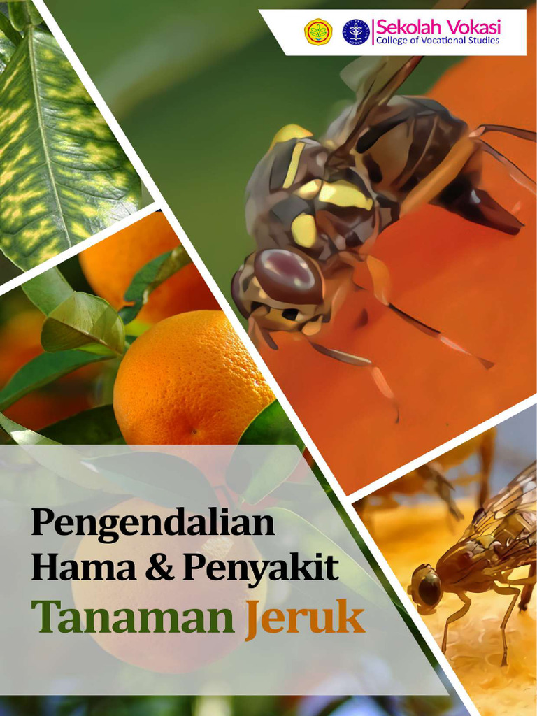 Pengendalian Hama & Penyakit Tanaman Jeruk | PDF | Kesehatan Holistik