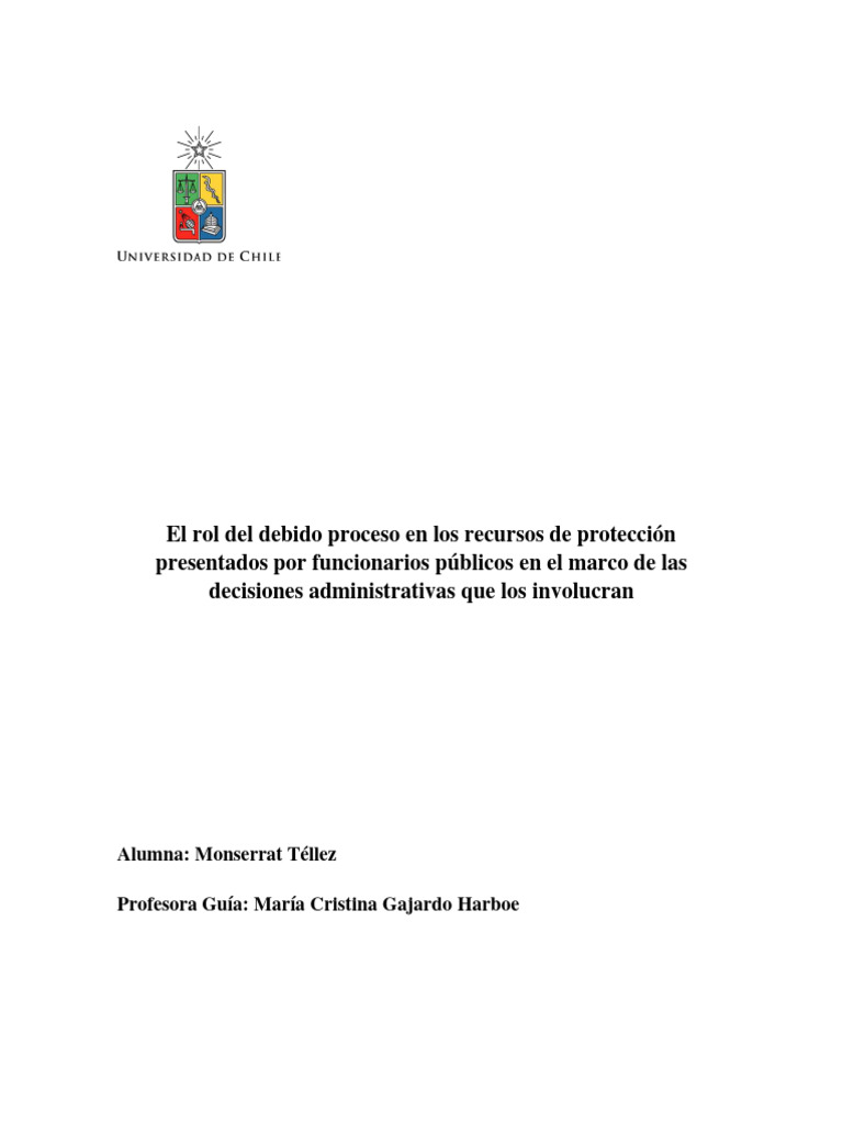 El Rol Del Debido Proceso en Los Recursos de Proteccion Presentados Por Funcionarios Publicos ...