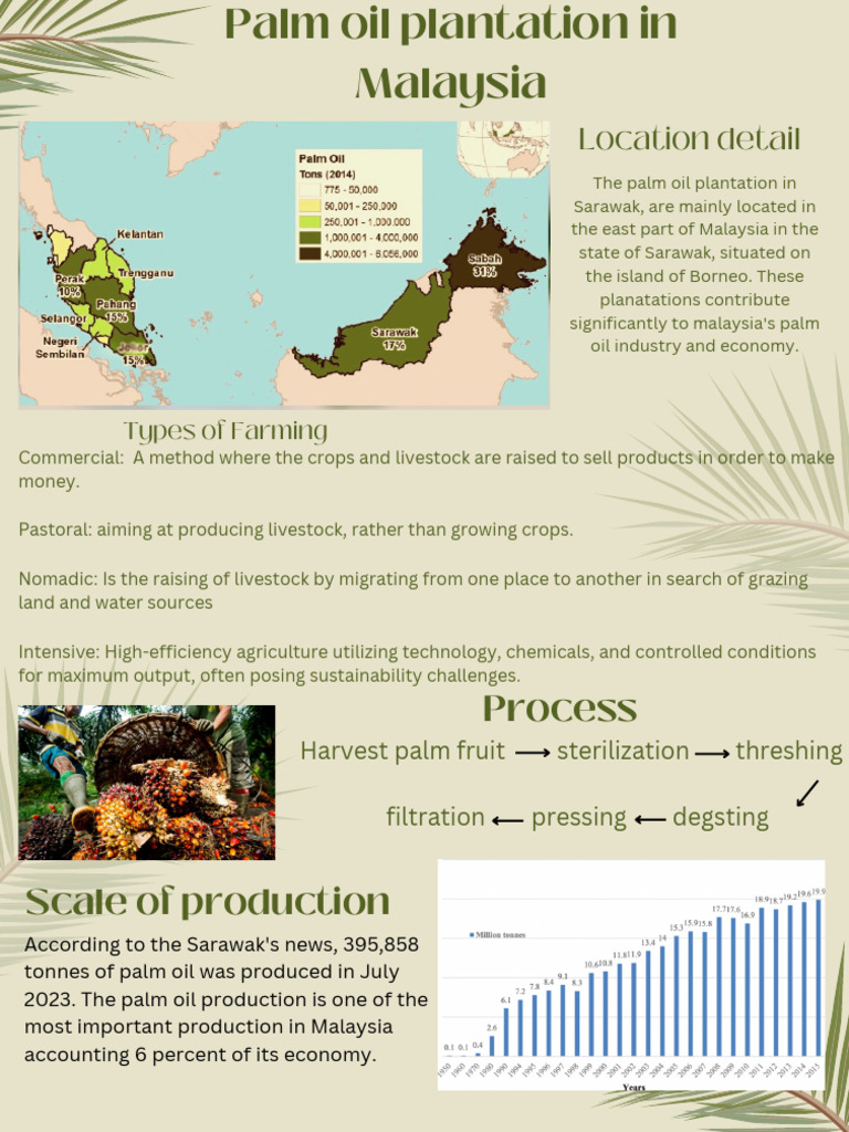 Geo Poster | PDF | Palm Oil | Agriculture